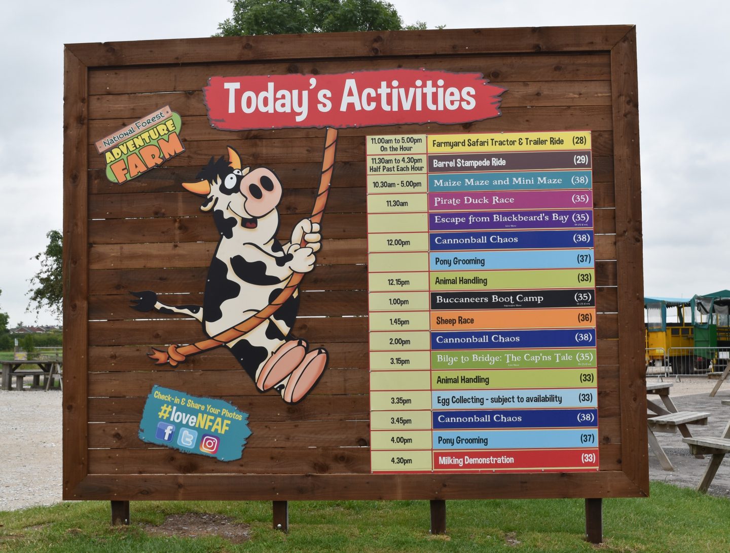 7 Reasons to visit the National Forest Adventure Farm this Summer