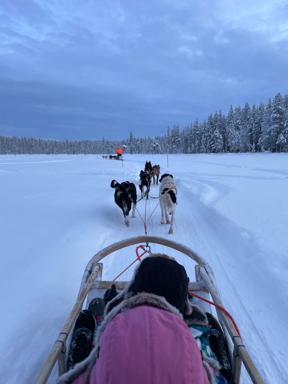 Lapland on a budget. Top tips for planning a DIY Lapland holiday