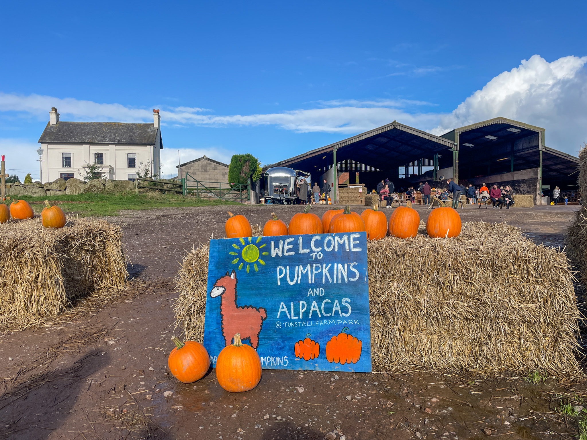 30 GREAT family days out in Staffordshire